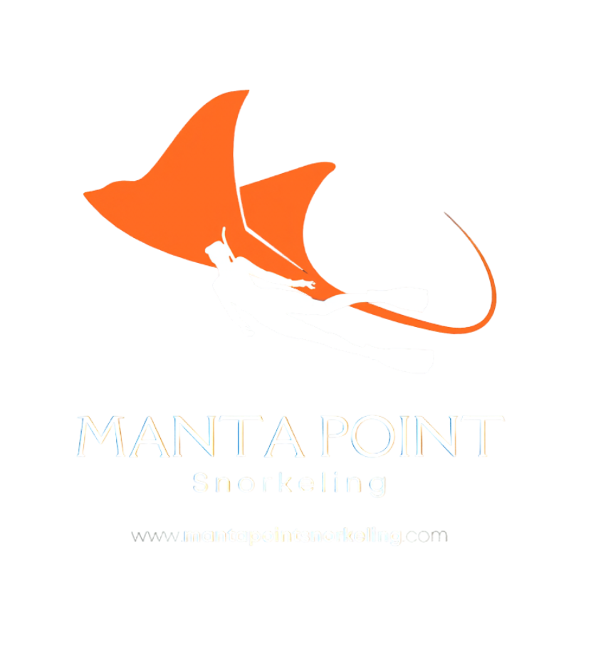 Snorkeling Guide to Nusa Penida: Manta Point and Beyond – Manta point ...